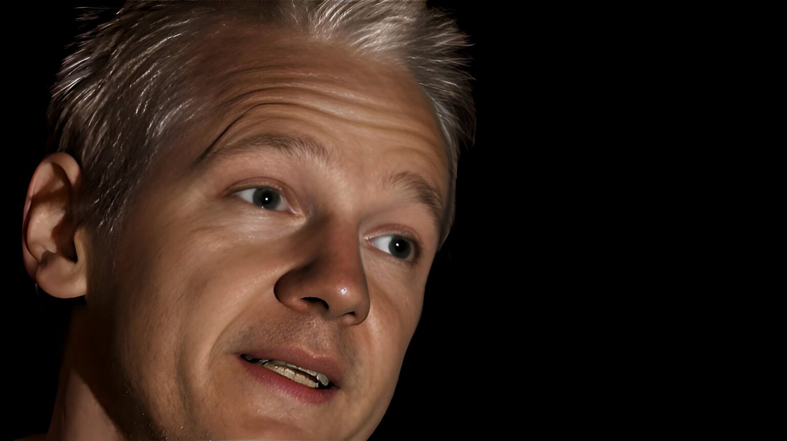 Julian Assange: Tunnustan syyllistyneeni journalismiin